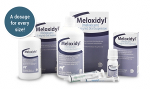 Meloxidyl® from Ceva Animal Health