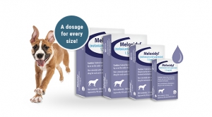 Meloxidyl® from Ceva Animal Health